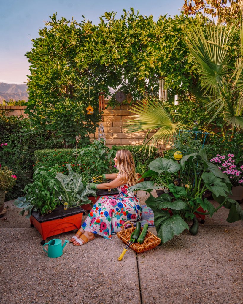 Gardening with Burpee Plants